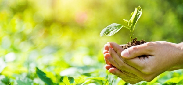 France AGEC Law Explained | Bags of Ethics